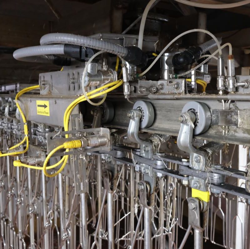 Home – Mighty Lube